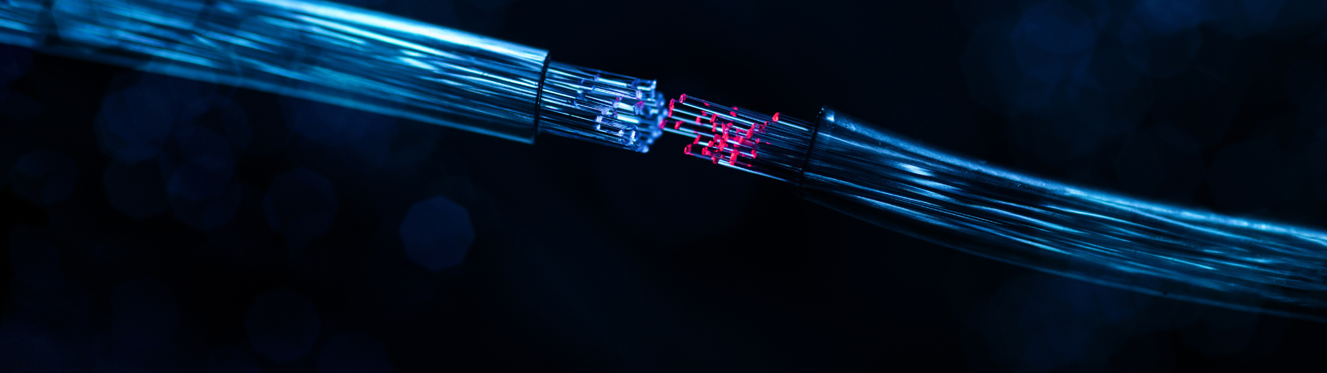 Not All Fiber Is Created Equal - LiveOak Fiber