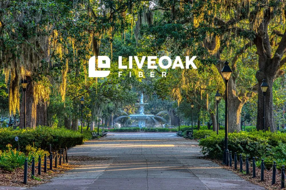 News: LiveOak Fiber Accelerates Network Expansion in Savannah with ...